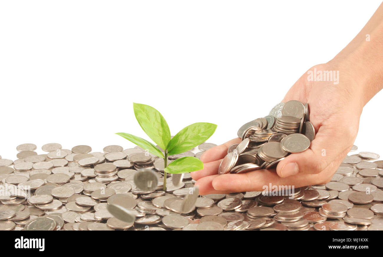 Pouring Gold Coins Stock Photos & Pouring Gold Coins Stock Images - Alamy