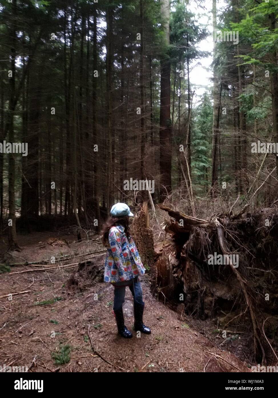 Girl looking into the forest hi-res stock photography and images - Alamy