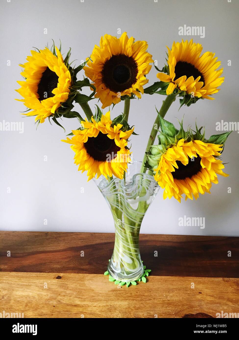 Daisy flowers in vase hi-res stock photography and images - Alamy