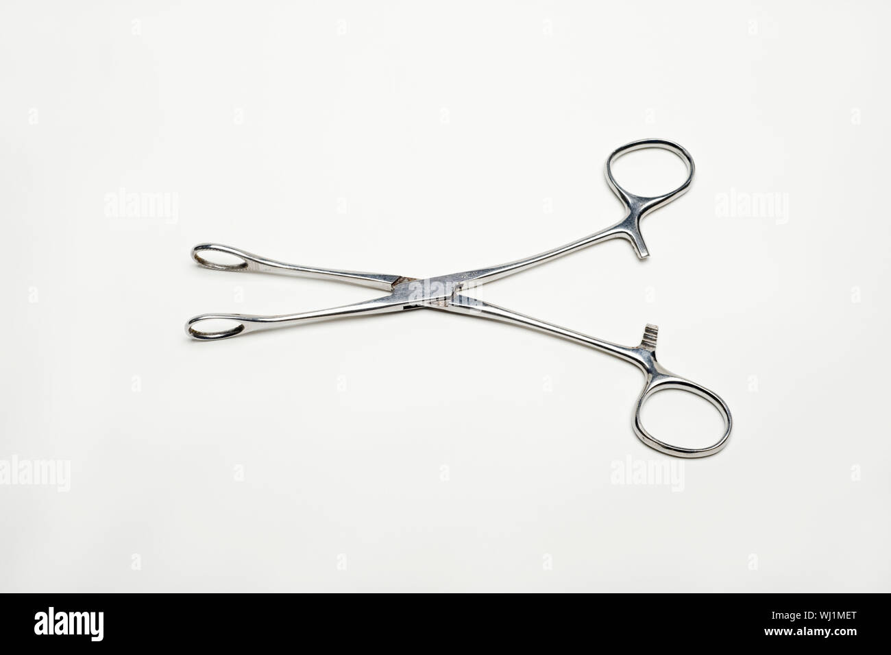 Medical stainless steel scissors isolated over white background Stock ...