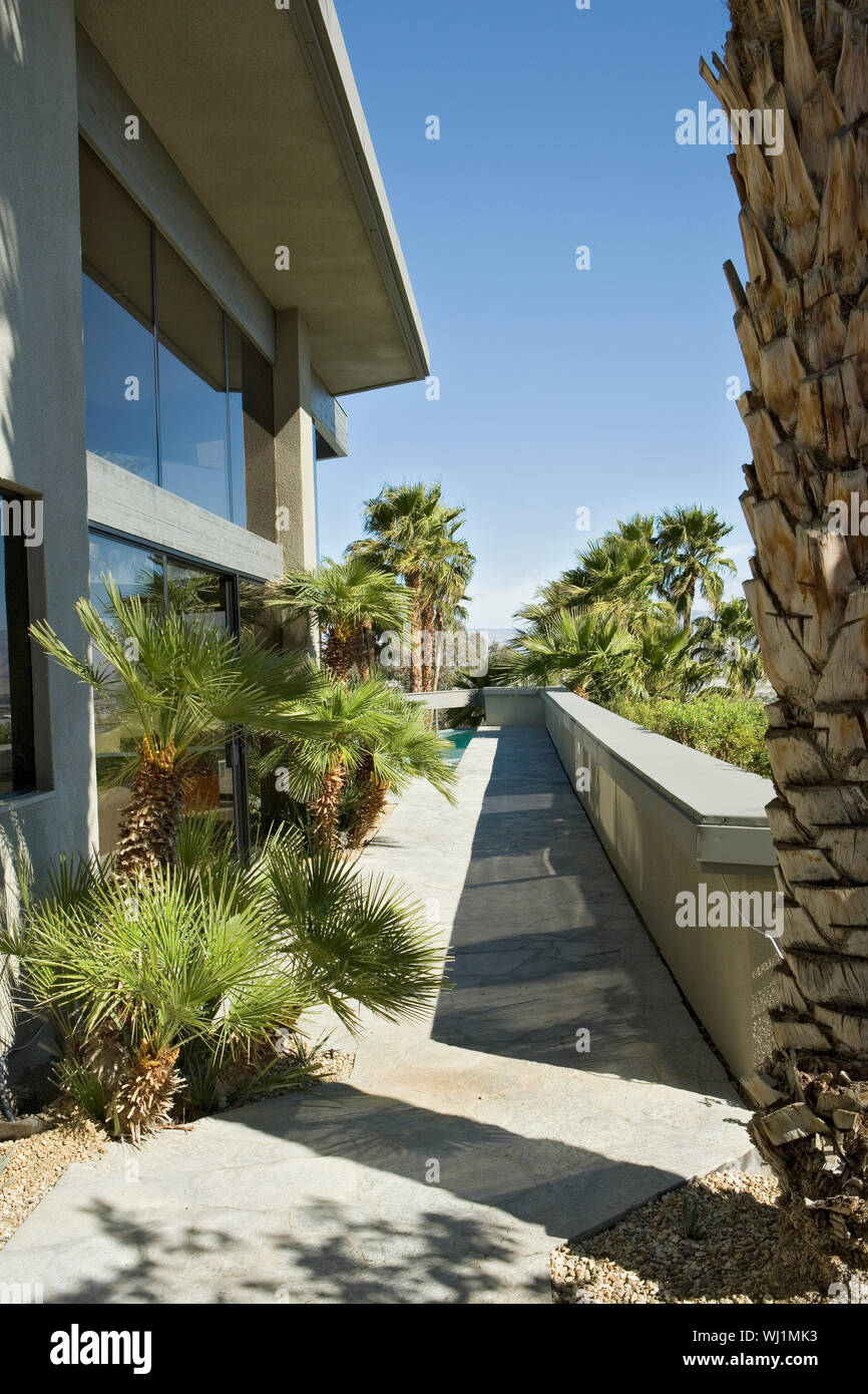 Narrow walkway along plants on the terrace of a modern house Stock ...