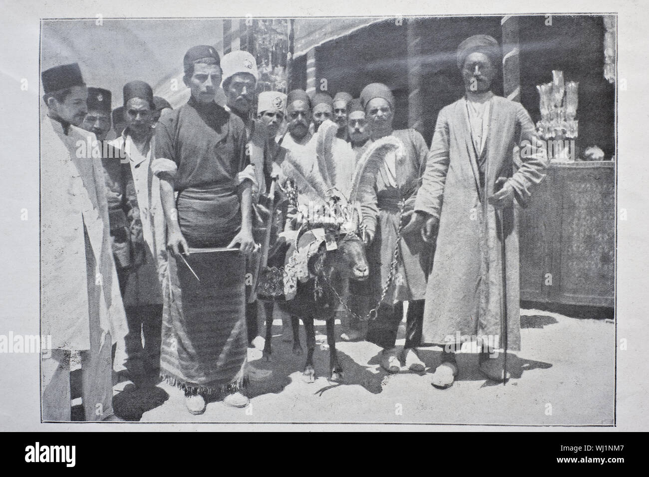 Newspaper photograph representing a sacrificial ram with 5 horns. It is ...