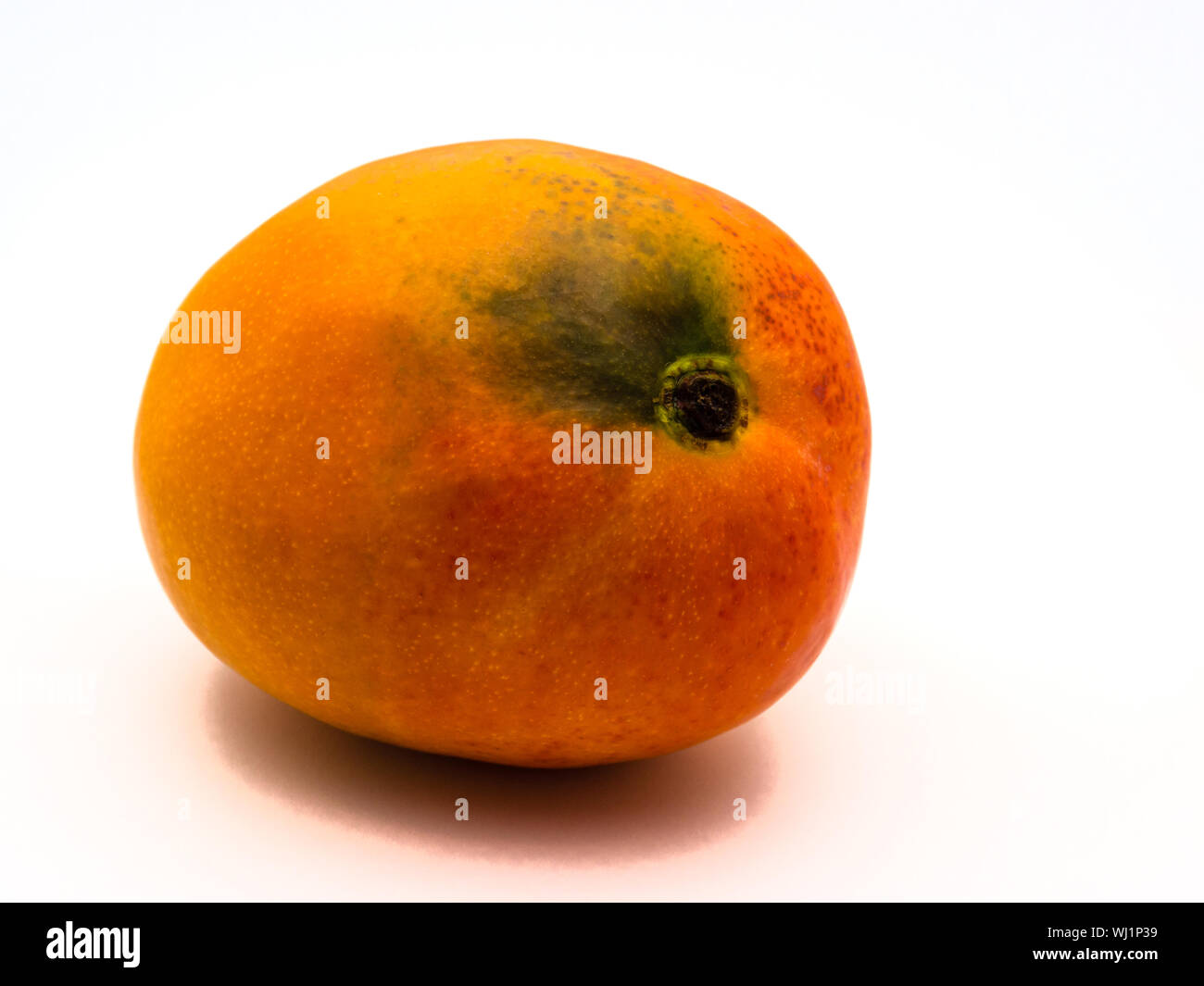 Orange colored ripe Niva Mango fruit isolated on white background Stock ...