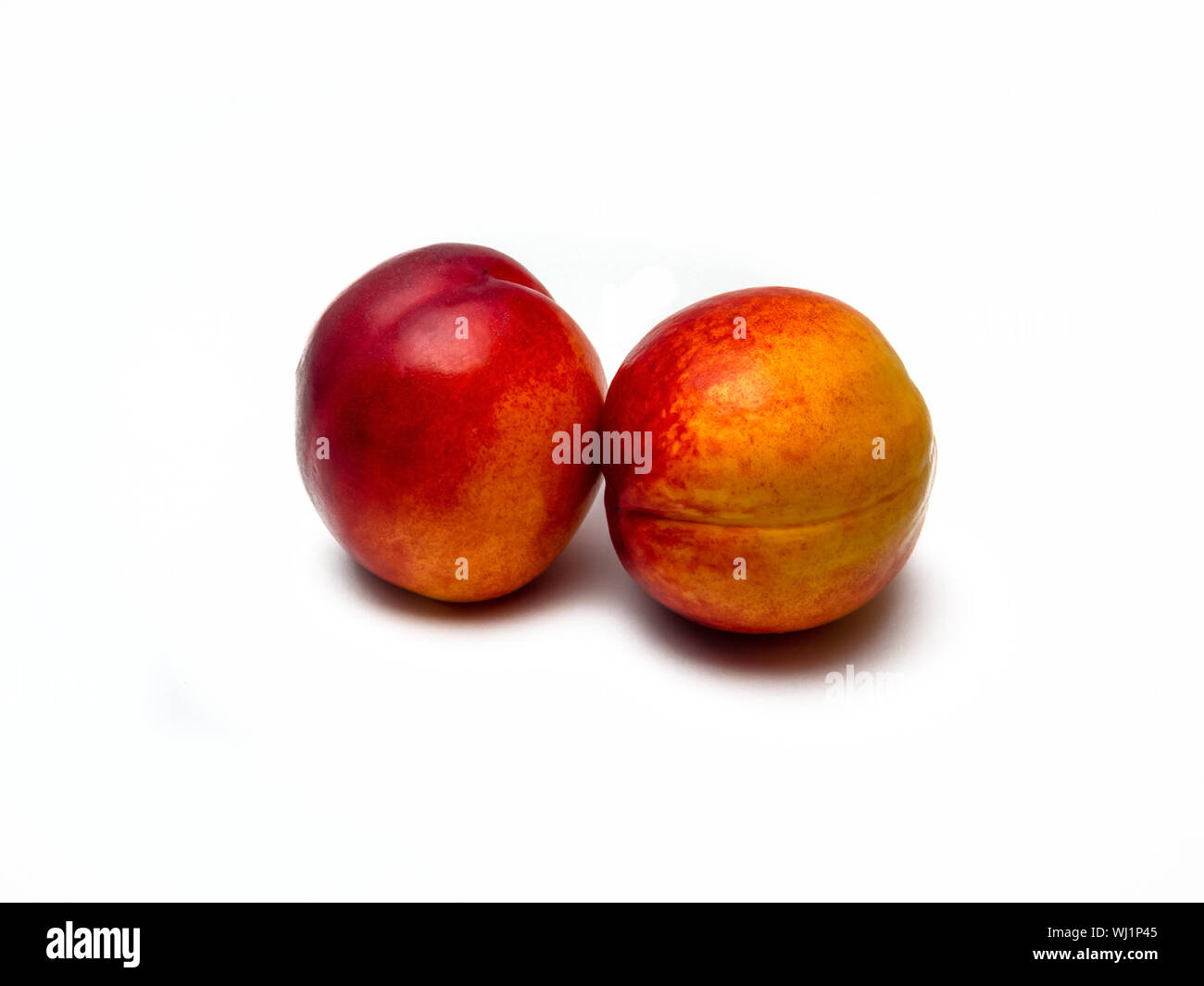 Two red and yellow colored ripe nectarines isolated on white background ...