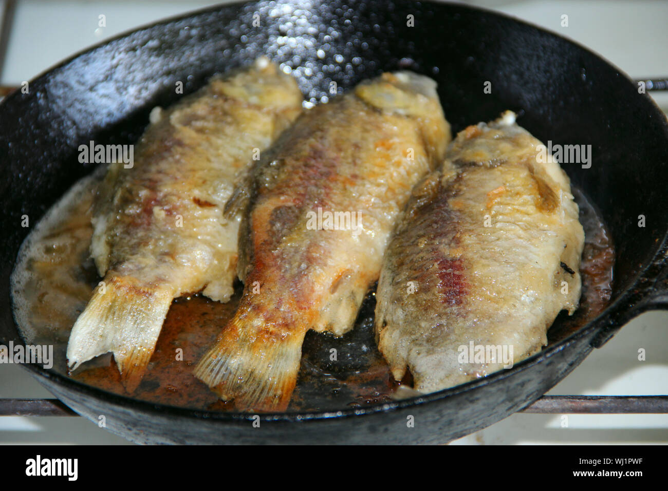Three fried crucians on pan. Cooking fried fish. Dish of fried crucians ...