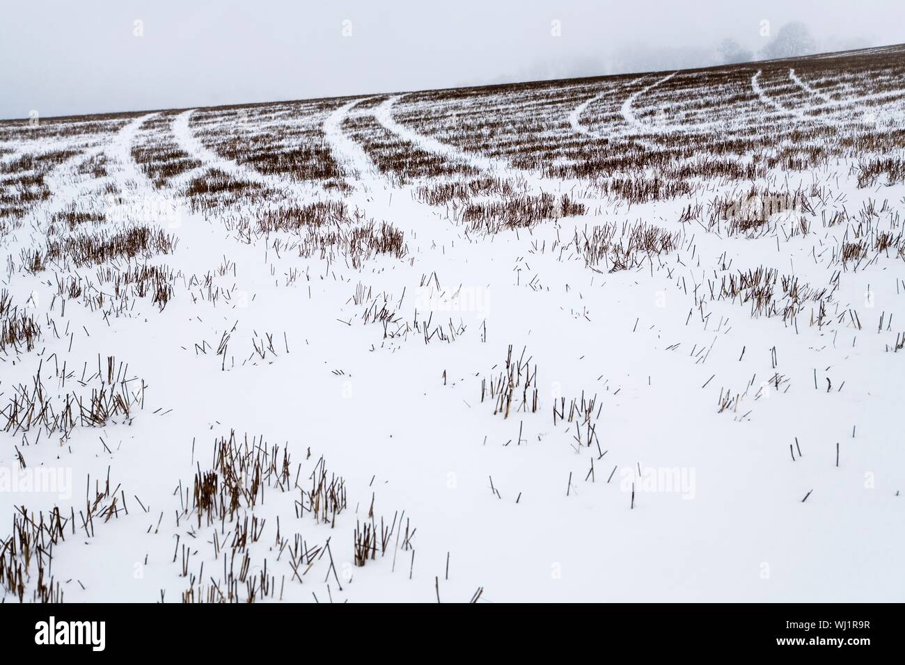 Snow covered field in Kent England Stock Photo - Alamy