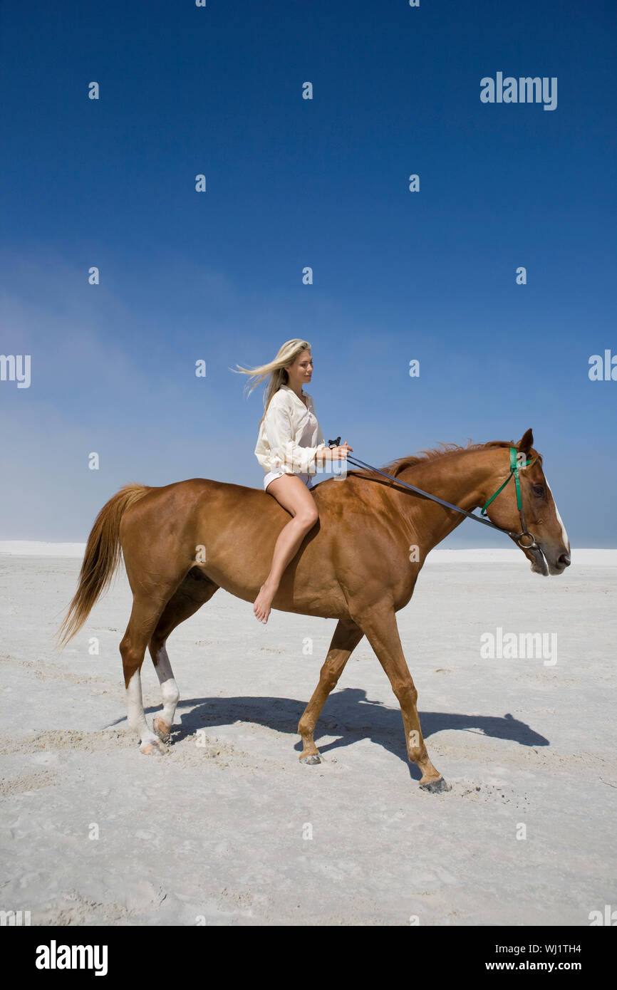 Blonde woman horse on beach hi-res stock photography and images - Alamy