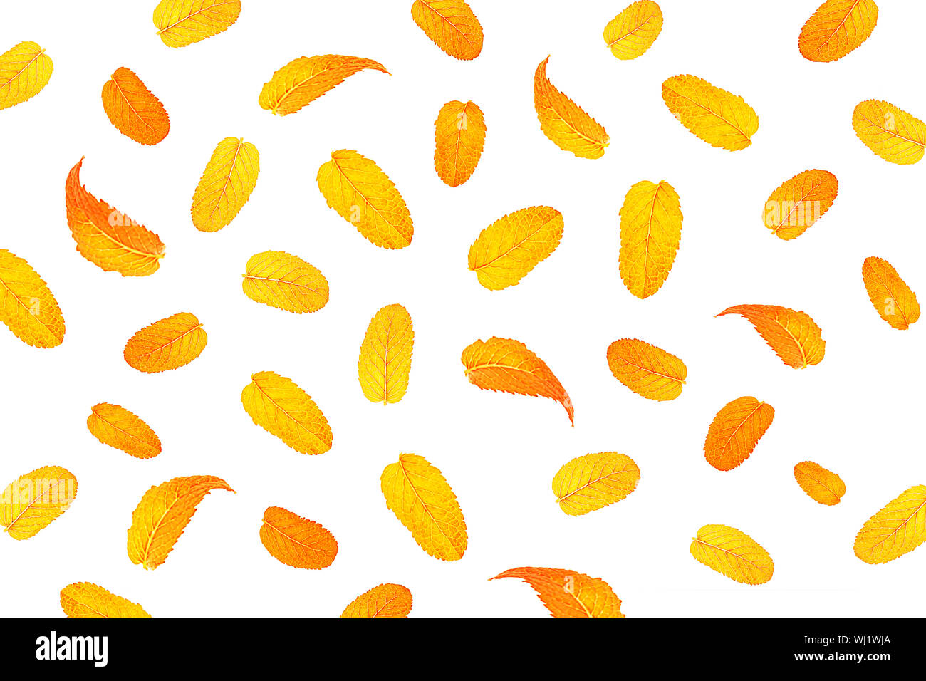 Creative autumn layout of red orange and yellow color leaves mint on ...