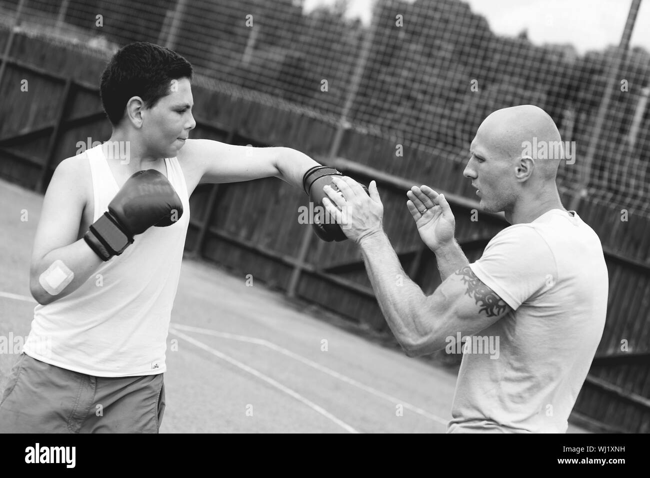 Boy adolescent adult male hi-res stock photography and images - Alamy