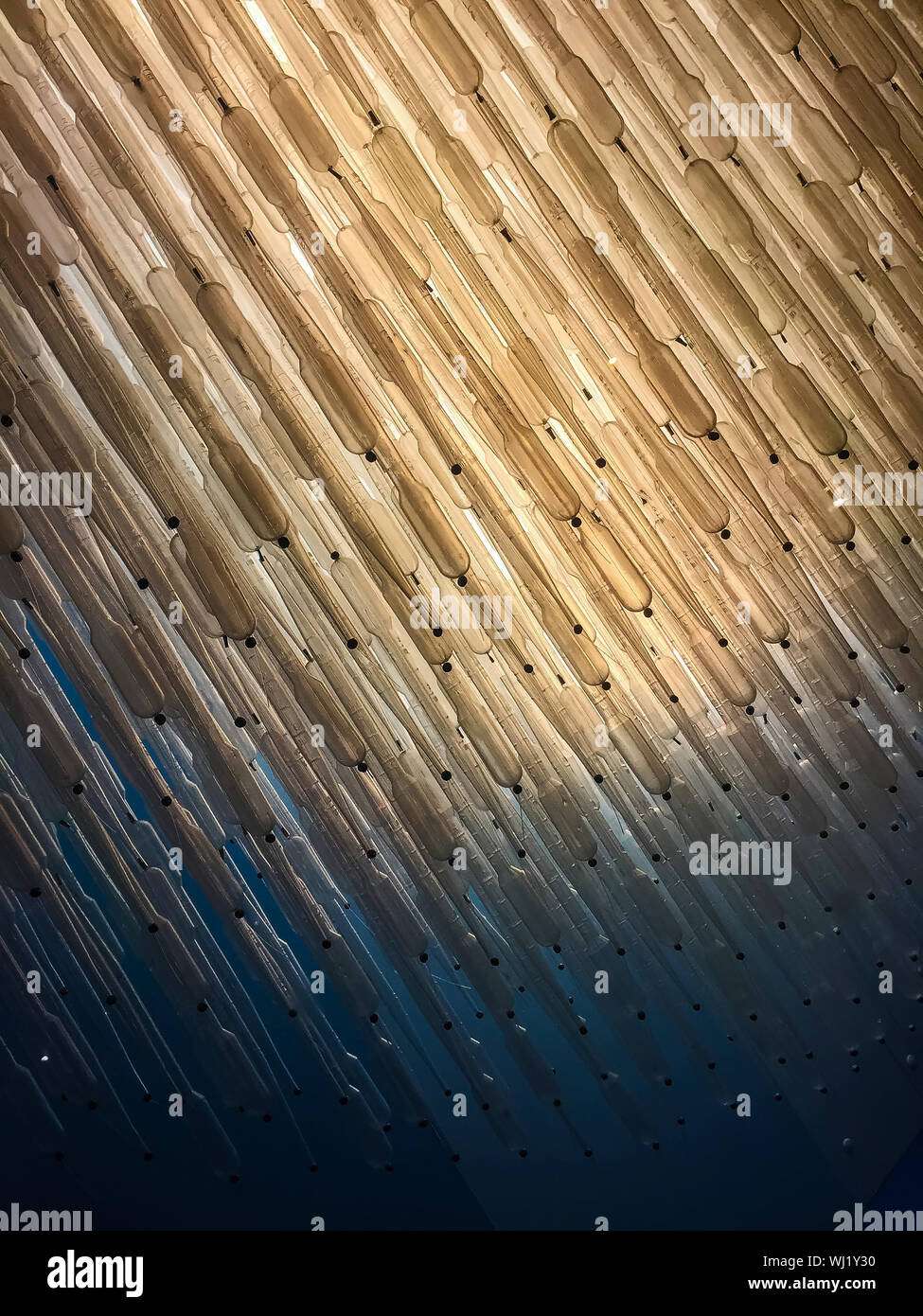 Glass viles hi-res stock photography and images - Alamy