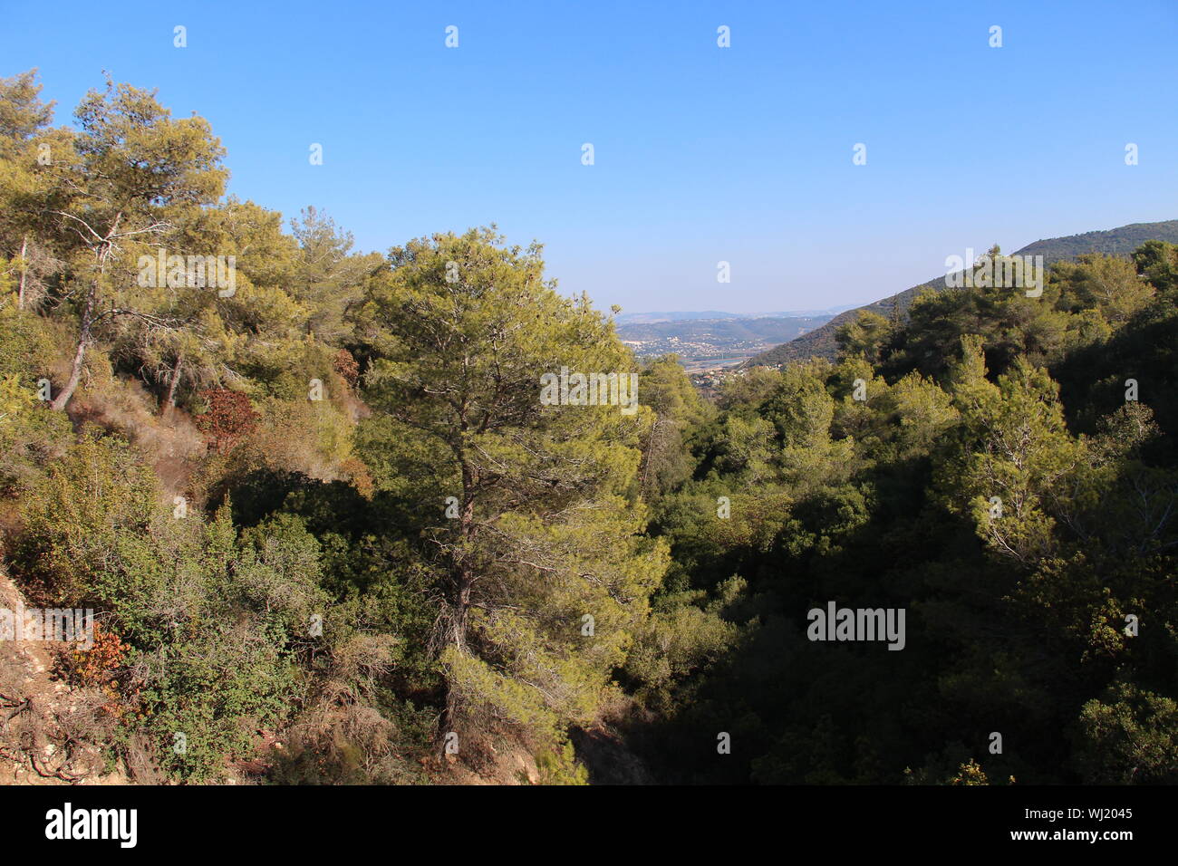 Nesher park hi-res stock photography and images - Alamy