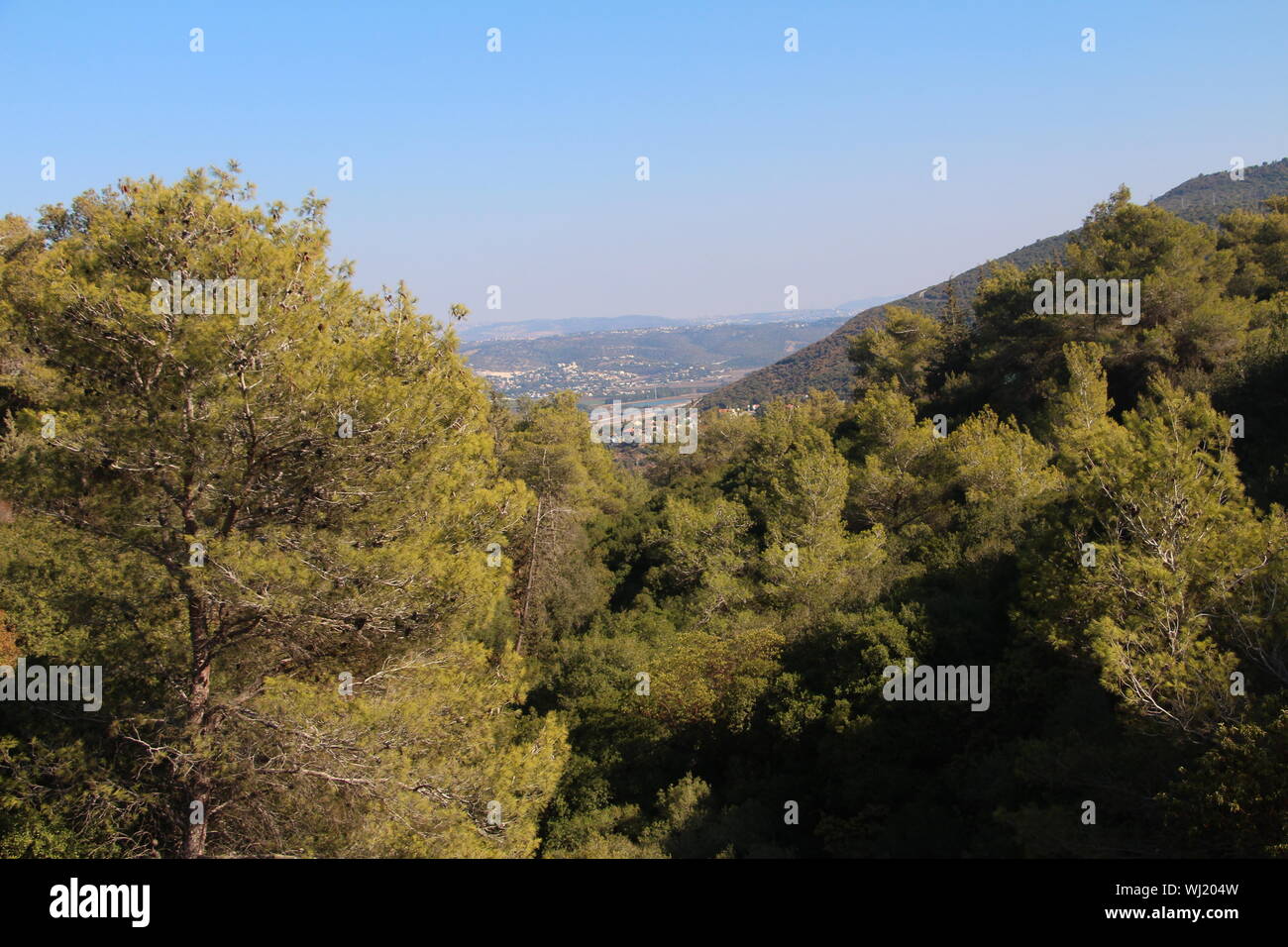 Forest hill horizon trees hi-res stock photography and images - Alamy