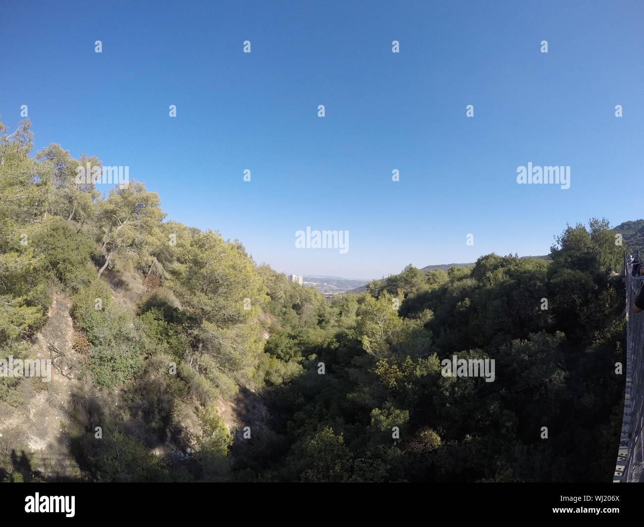 Forest hill horizon trees hi-res stock photography and images - Alamy