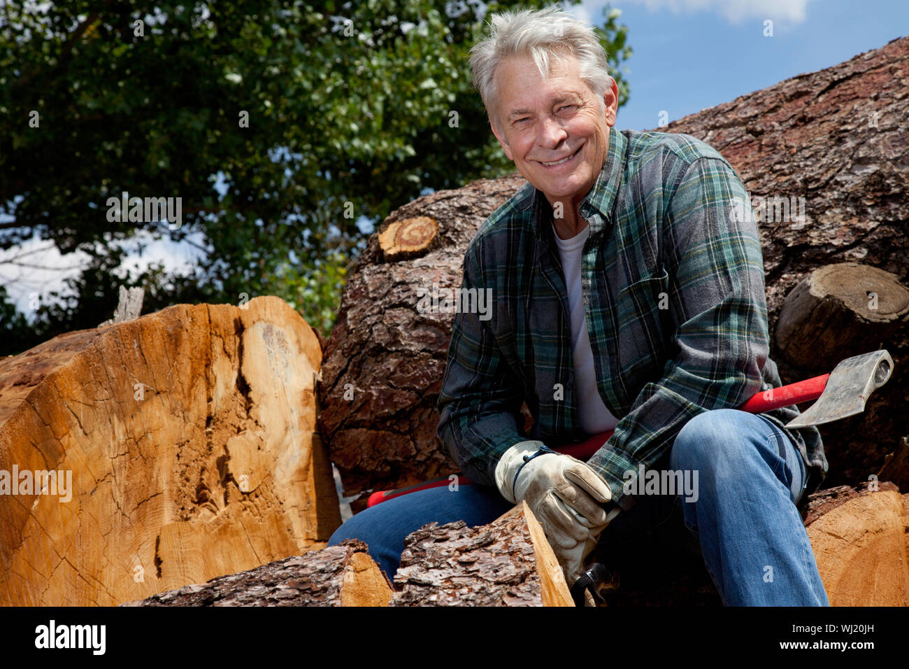 Senior man holding firewood hi-res stock photography and images - Alamy