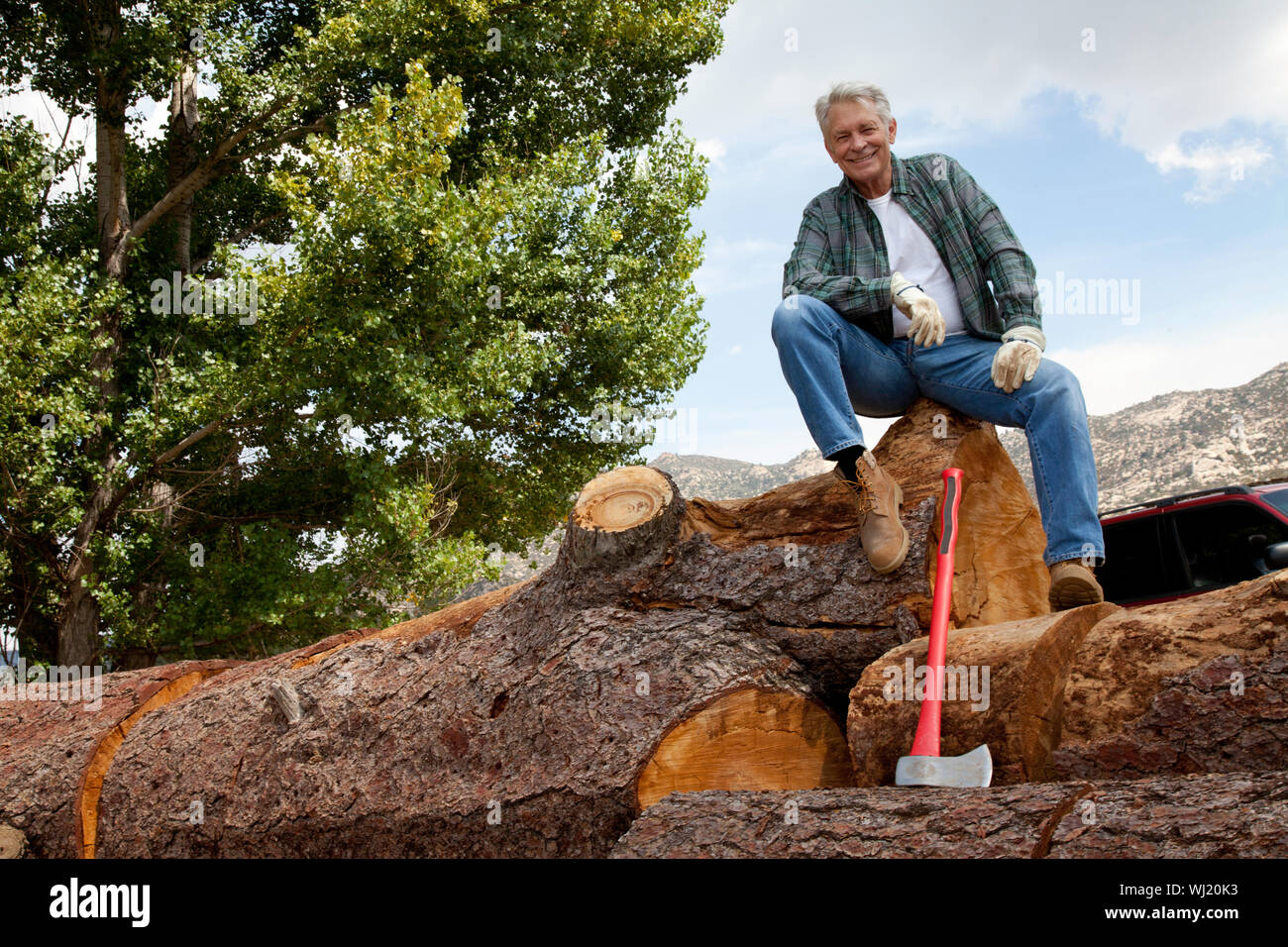 Low angle view of man sitting on a huge tree trunk Stock Photo - Alamy
