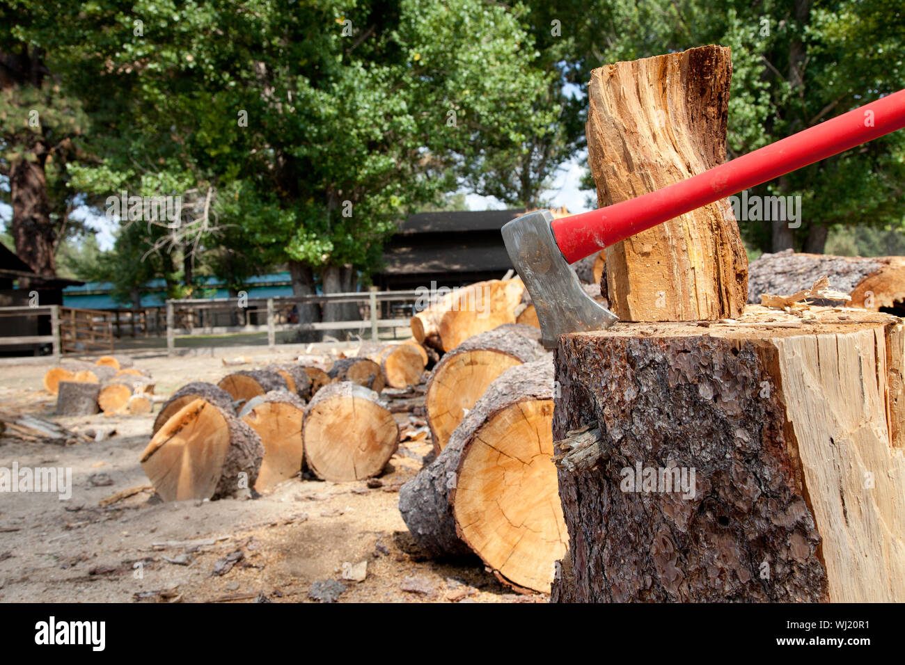 Axe in tree stump Stock Photo - Alamy