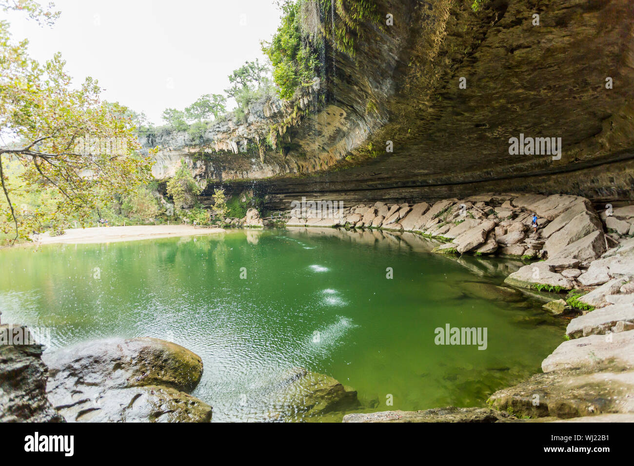 Texas water hole Stock Photo - Alamy
