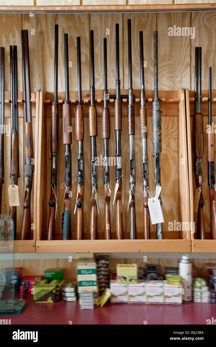 Rifles on display in gun shop Stock Photo - Alamy