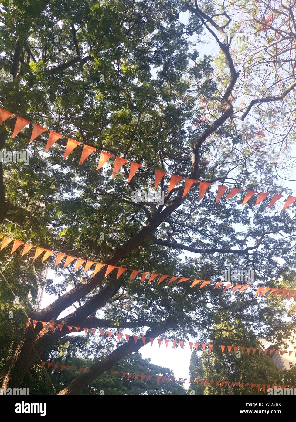 Orange And Green Flags High Resolution Stock Photography and Images - Alamy