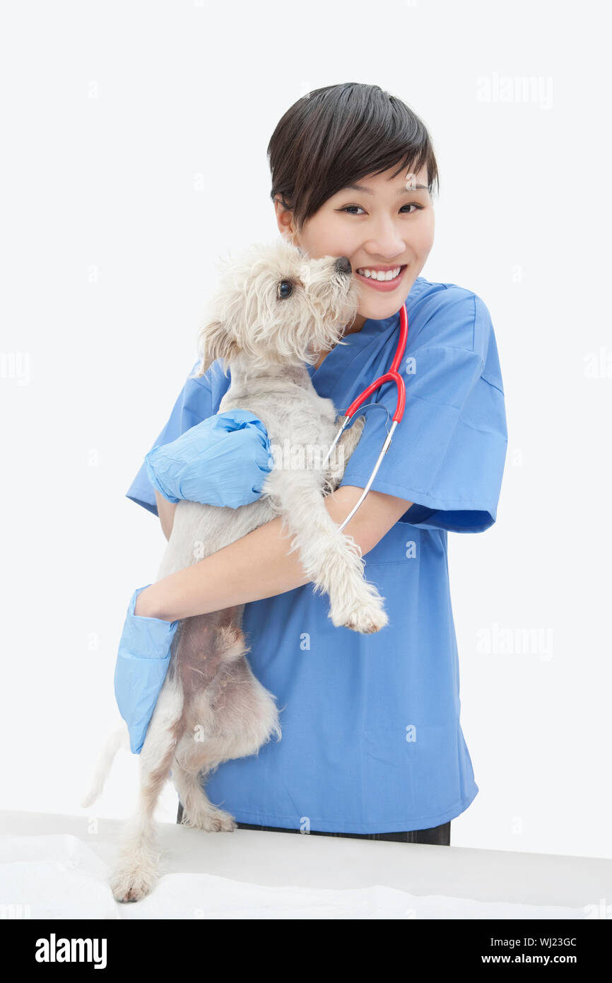Asian woman veterinarian holding dog hi-res stock photography and ...