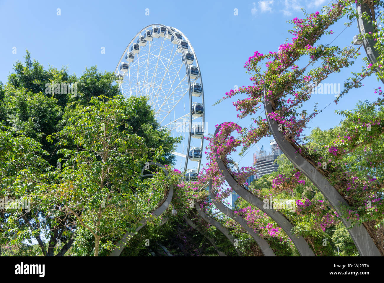 Riverfront Metropolis, Subtropical Urban Oasis, Brisbane, Australia ...