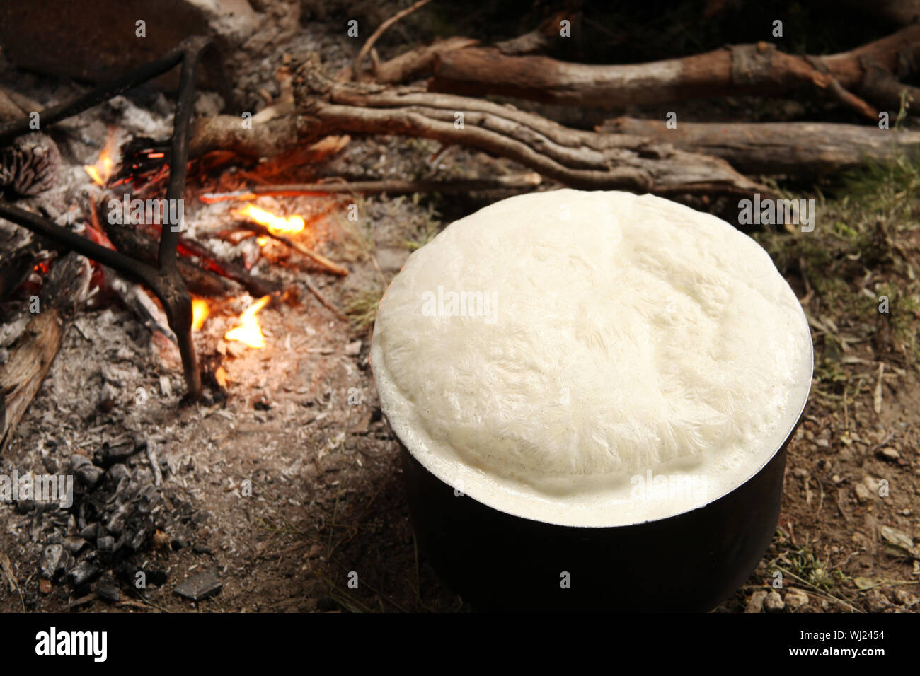 fresh and organic goat milk Stock Photo - Alamy