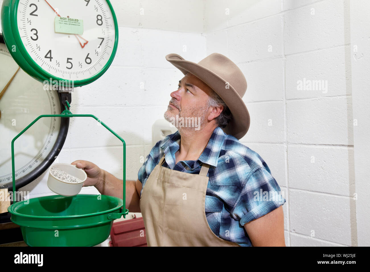 Mature cowboy looking up at weight scale Stock Photo - Alamy