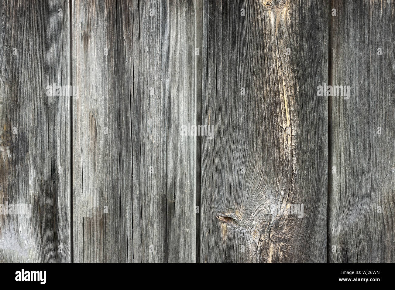 texture of bark wood use as natural background Stock Photo - Alamy