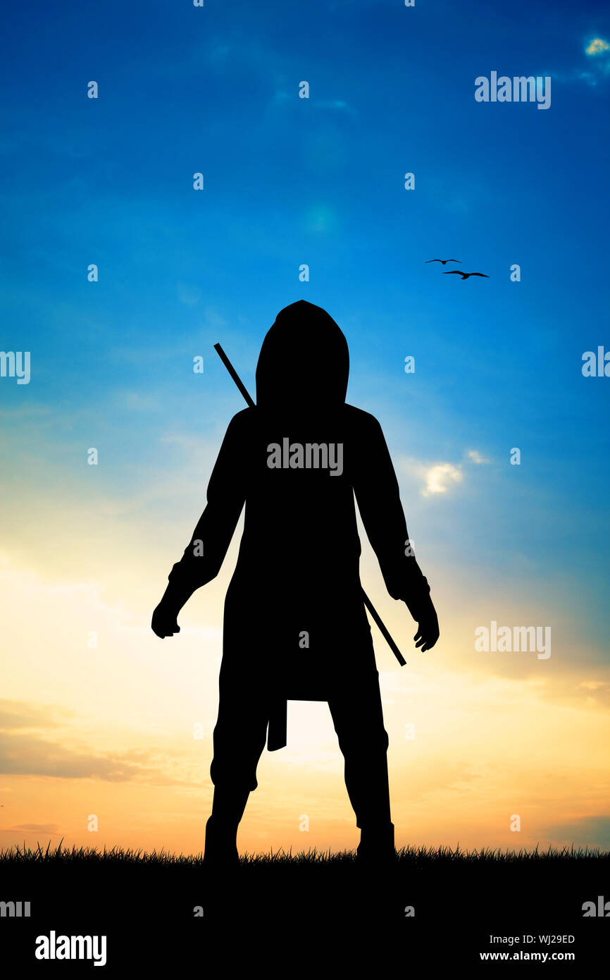 ninja silhouette at sunset Stock Photo - Alamy