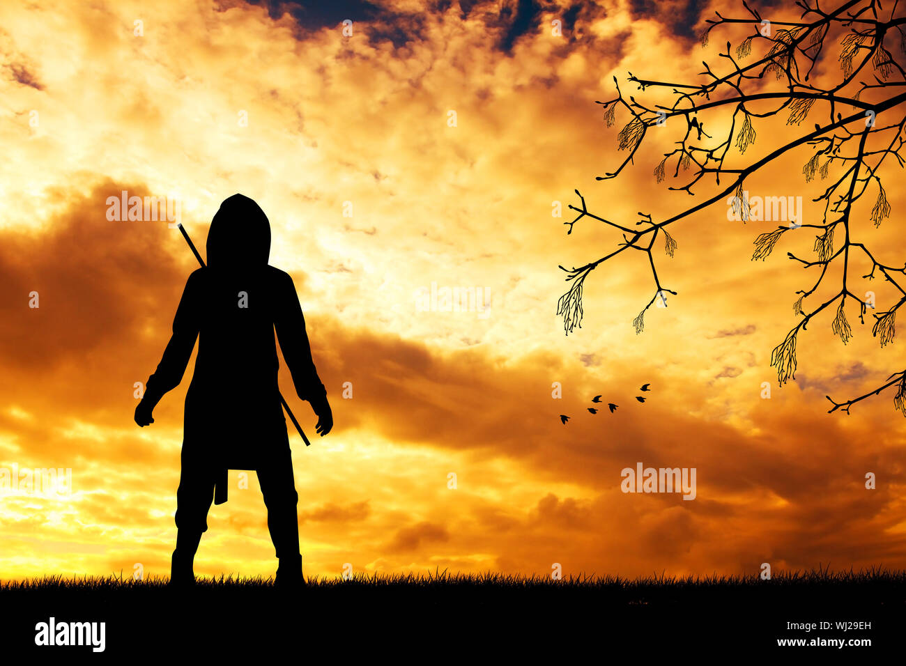 Samurai ninja silhouette at sunset Stock Photo - Alamy