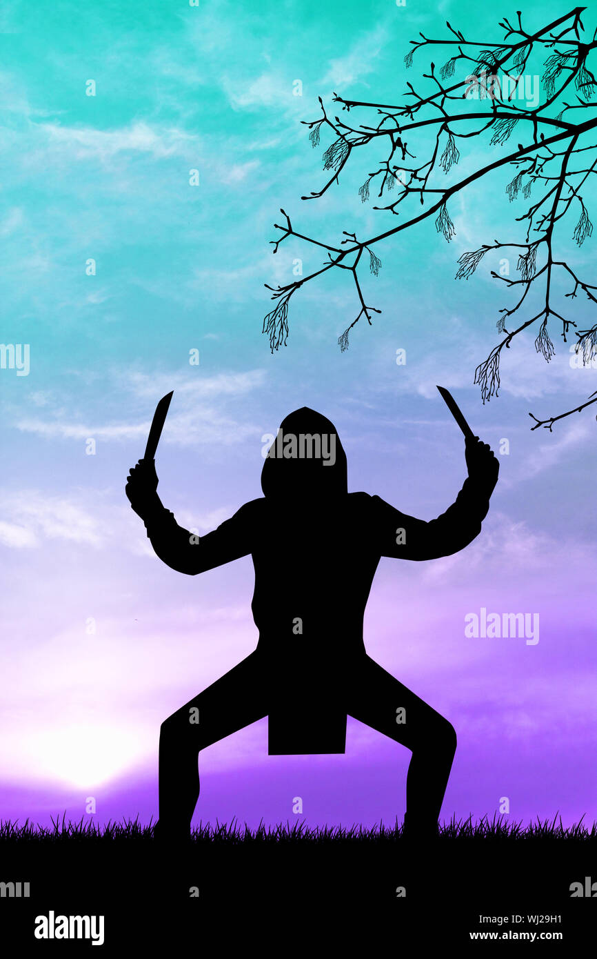 Ninja silhouette sunset hi-res stock photography and images - Alamy