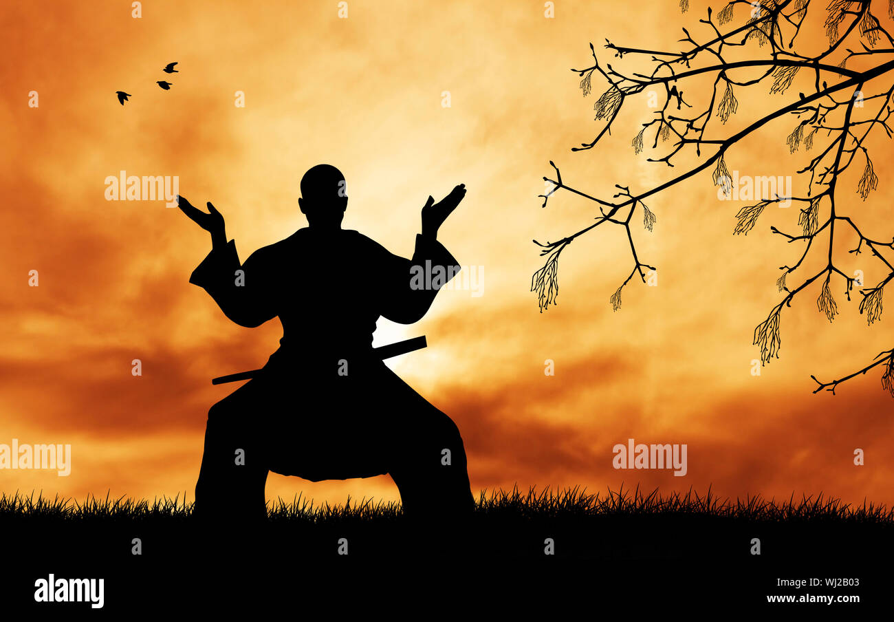 Ninja silhouette sunset hi-res stock photography and images - Alamy
