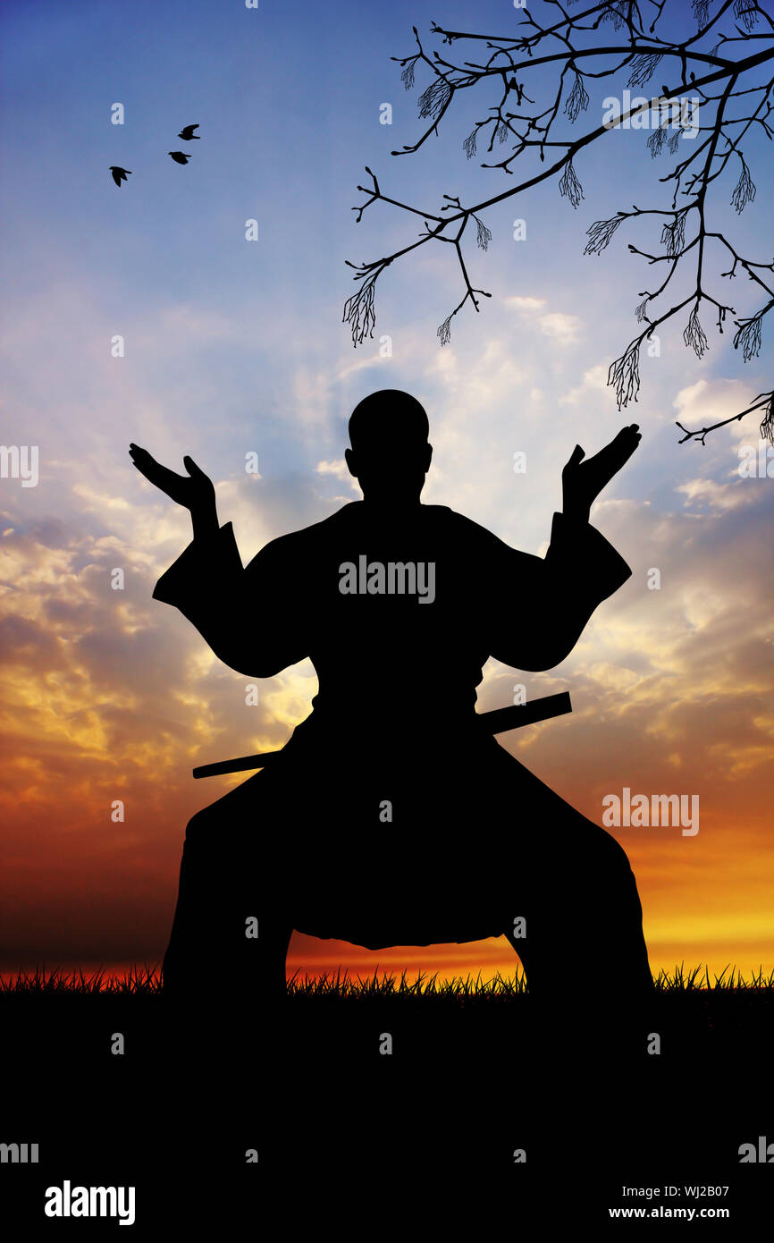Ninja silhouette sunset hi-res stock photography and images - Alamy