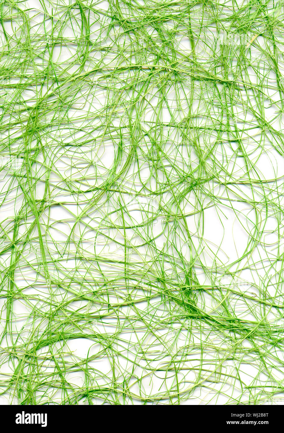 Abstract color straw mesh on white background Stock Photo - Alamy