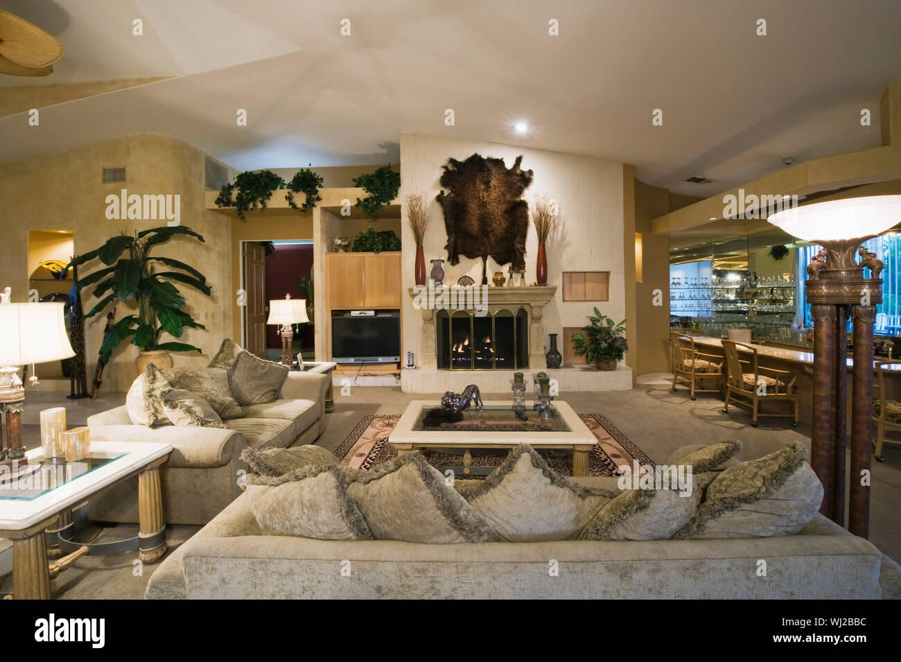 View of a spacious living room with wall mounted animal pelt Stock ...