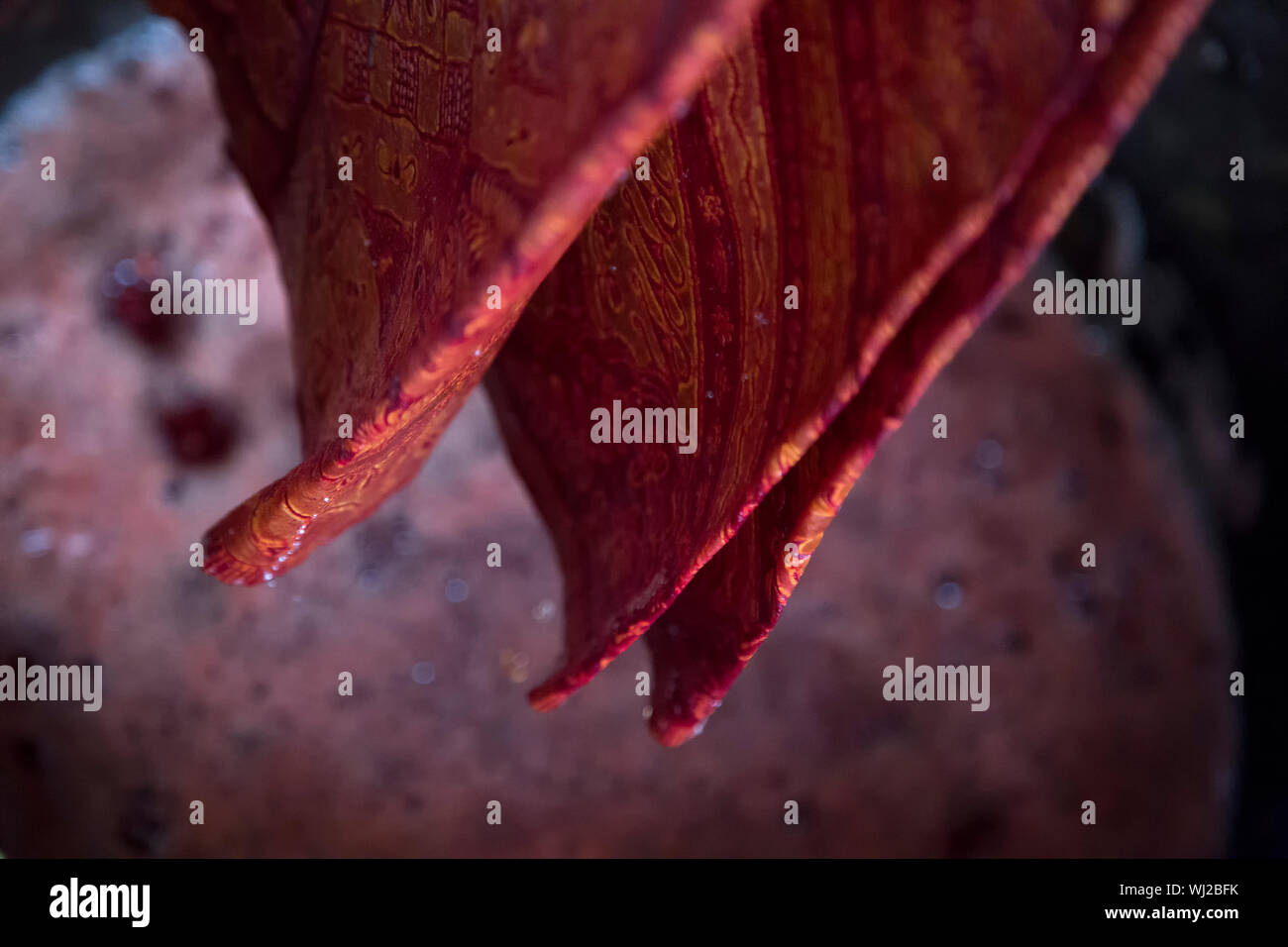 Red fabrics hi-res stock photography and images - Alamy