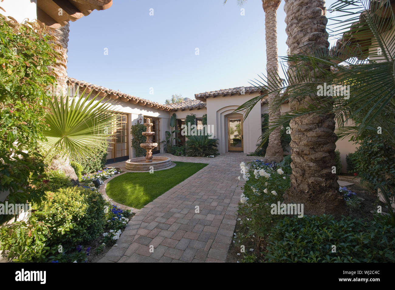 Paved path and plants in garden exterior against house Stock Photo - Alamy