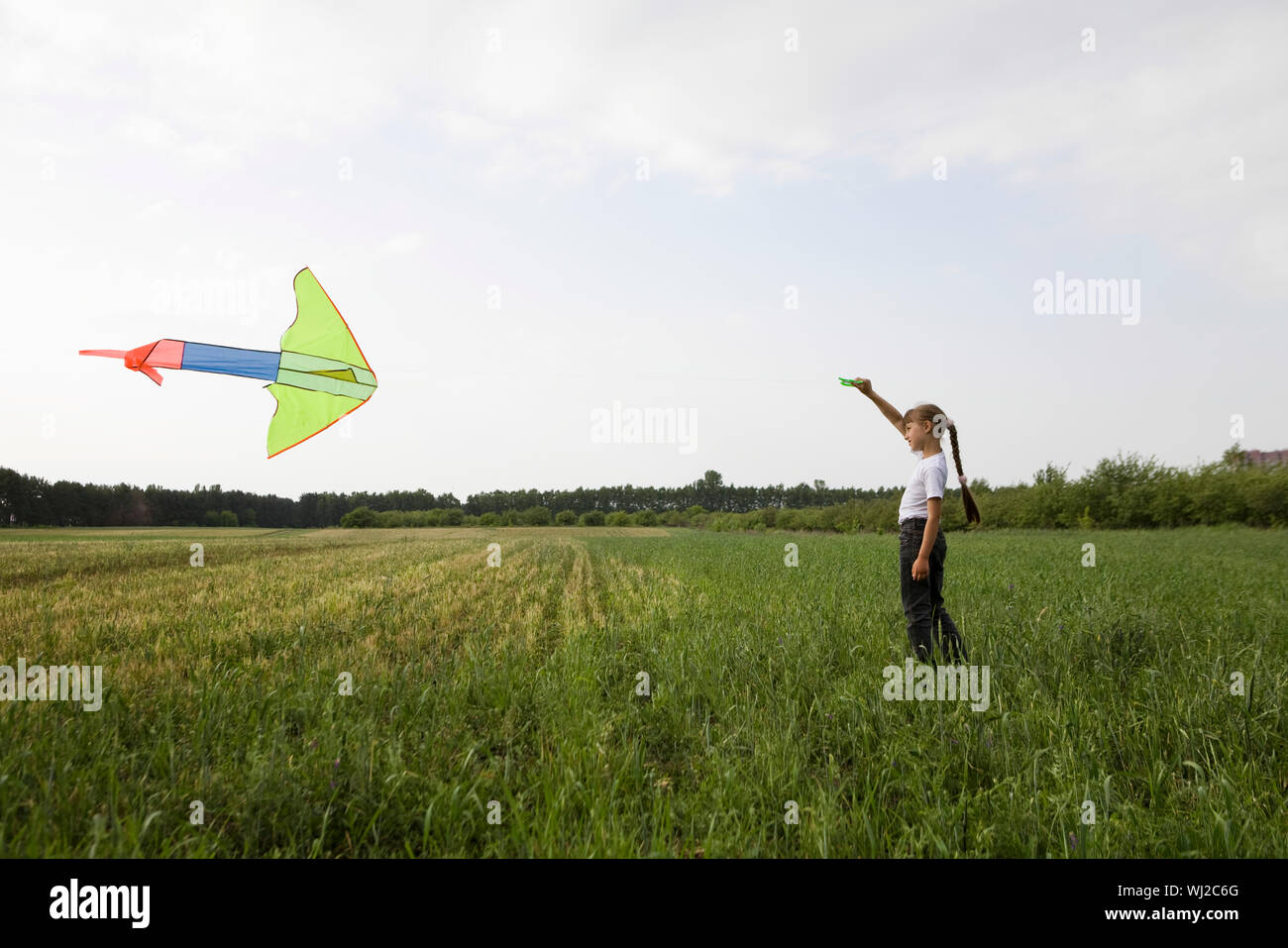 Side view full length of a young girl flying kite in the field Stock ...