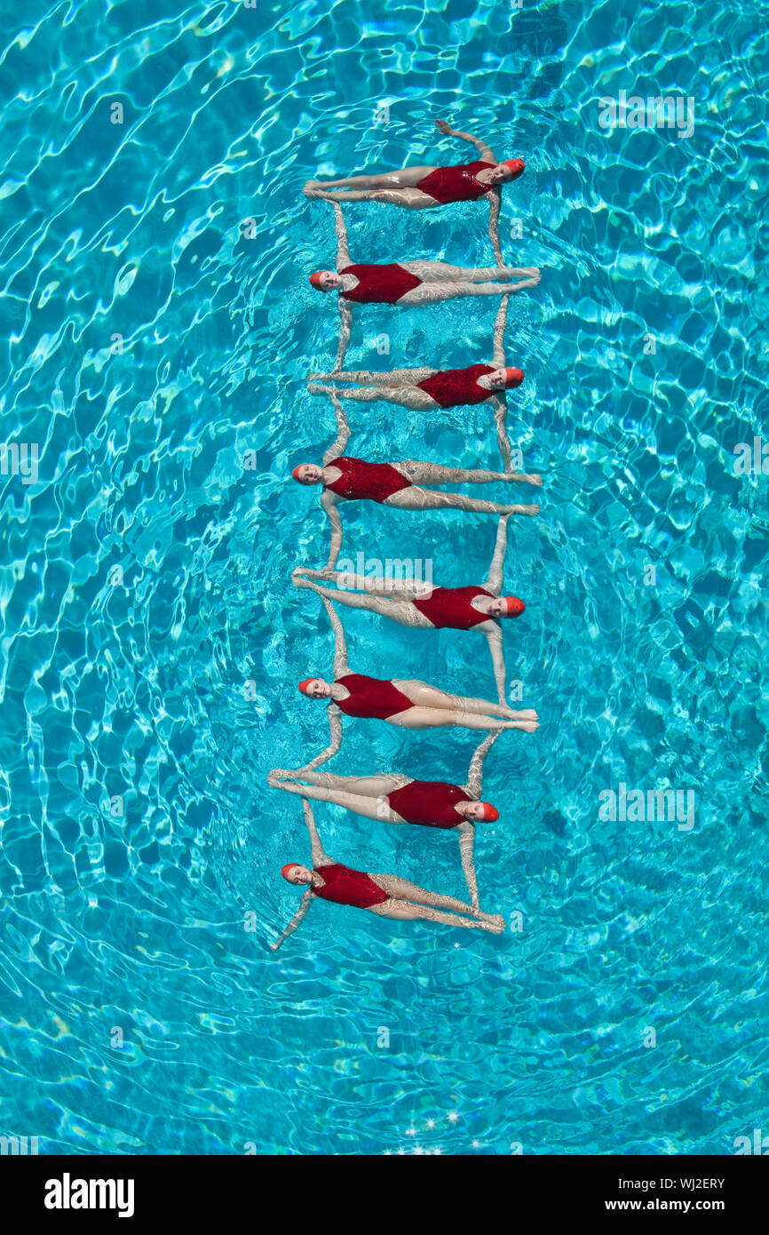 Elevated view of synchronised swimmers forming a circle in pool Stock ... Elevated view of synchronised swimmers forming a circle in pool Stock ...