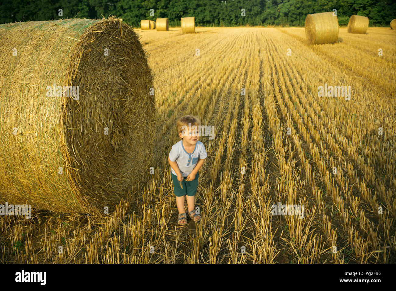 Happy child in field. Summer mood. Boy at stack of hay Stock Photo - Alamy