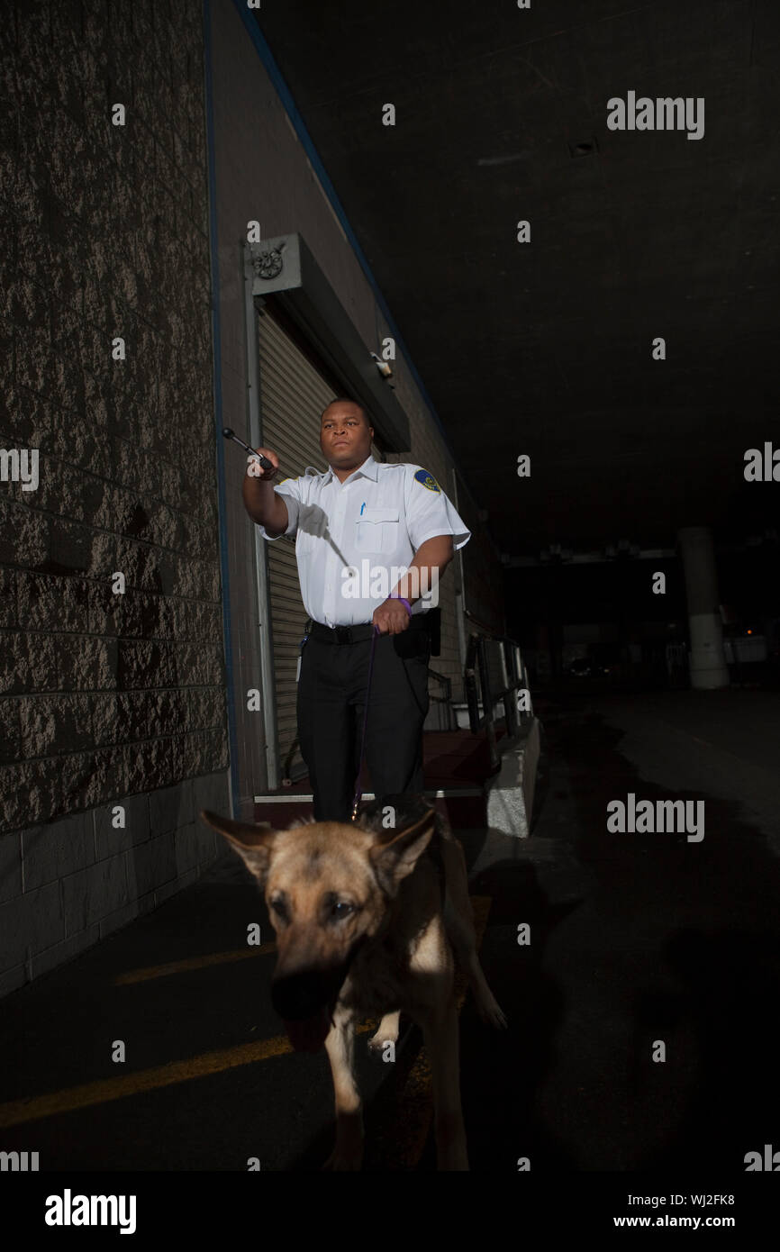 Young mixed race security guard with canine dog while on duty Stock ...