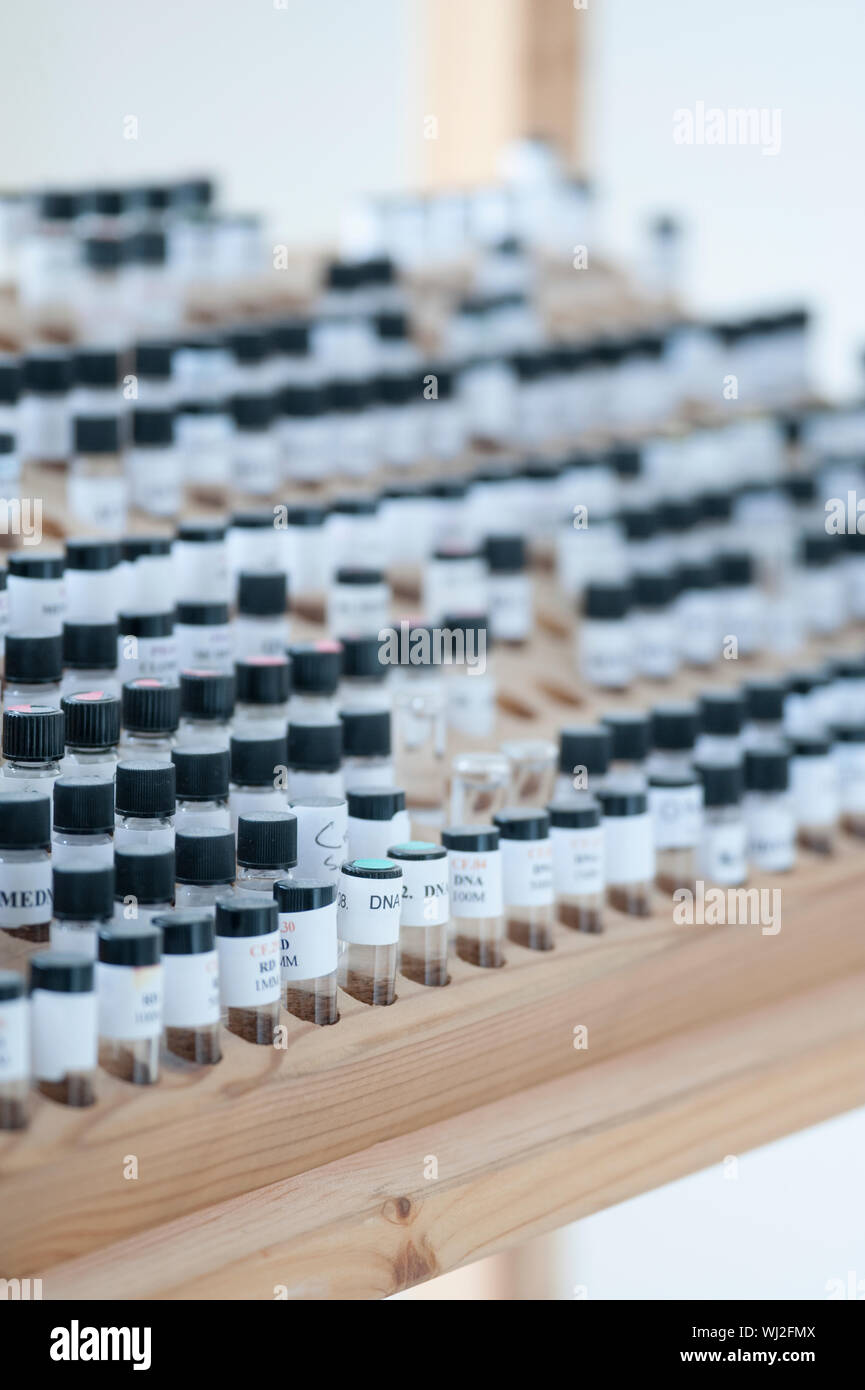 Vials in wooden stand at laboratory Stock Photo - Alamy