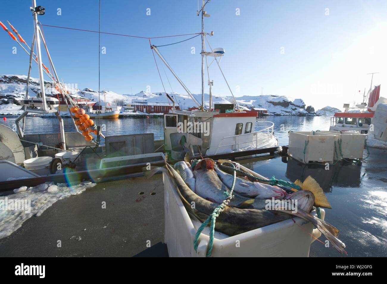 Fishing boat in harbour Norway Stock Photo - Alamy