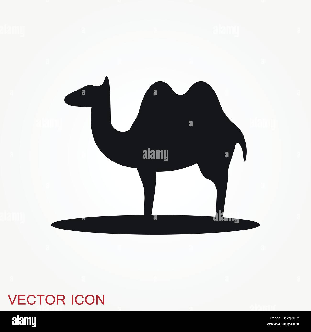 Camel icon. Vector symbol African animal for web and design Stock ...