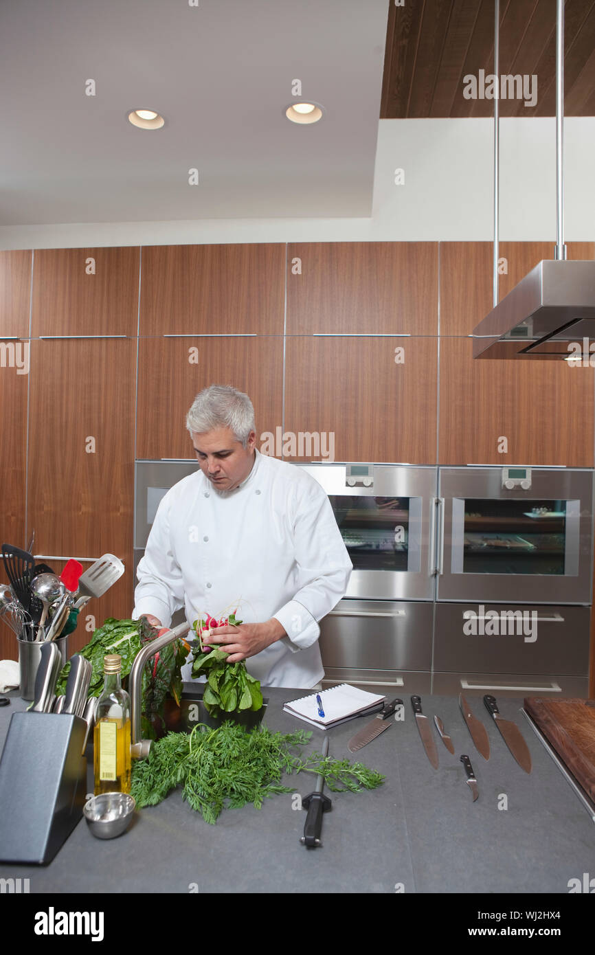 Male chef washing leafy vegetables in commercial kitchen sink Stock ...