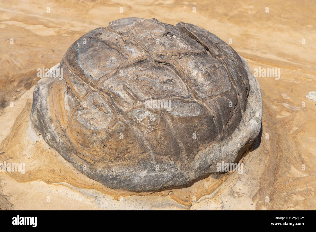 Beautiful rock formation at Yehliu Geopark, New Taipei city, Taiwan ...
