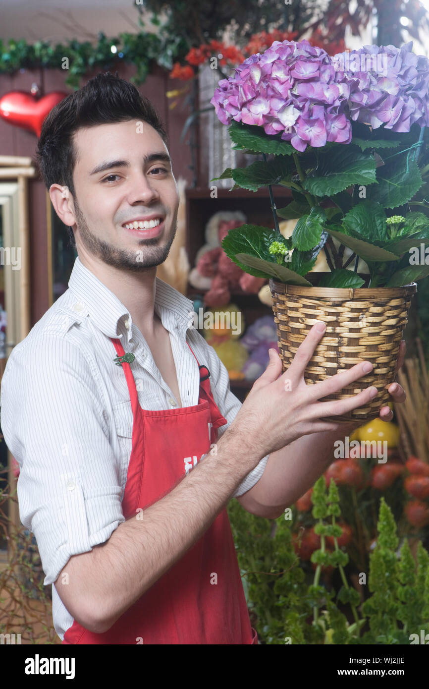 Portrait of male florist smiling while holding hydrangea plant in shop ...