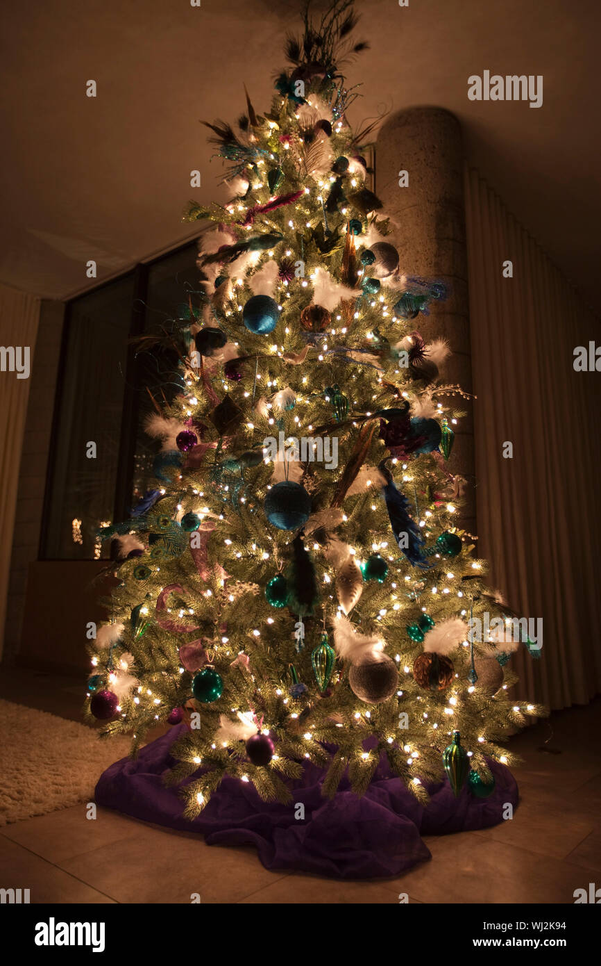 Tall christmas tree in home hi-res stock photography and images - Alamy