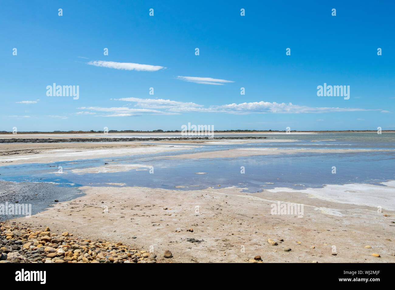 Camargue white salt flat lake, etang salt water lagoon surrounded by ...