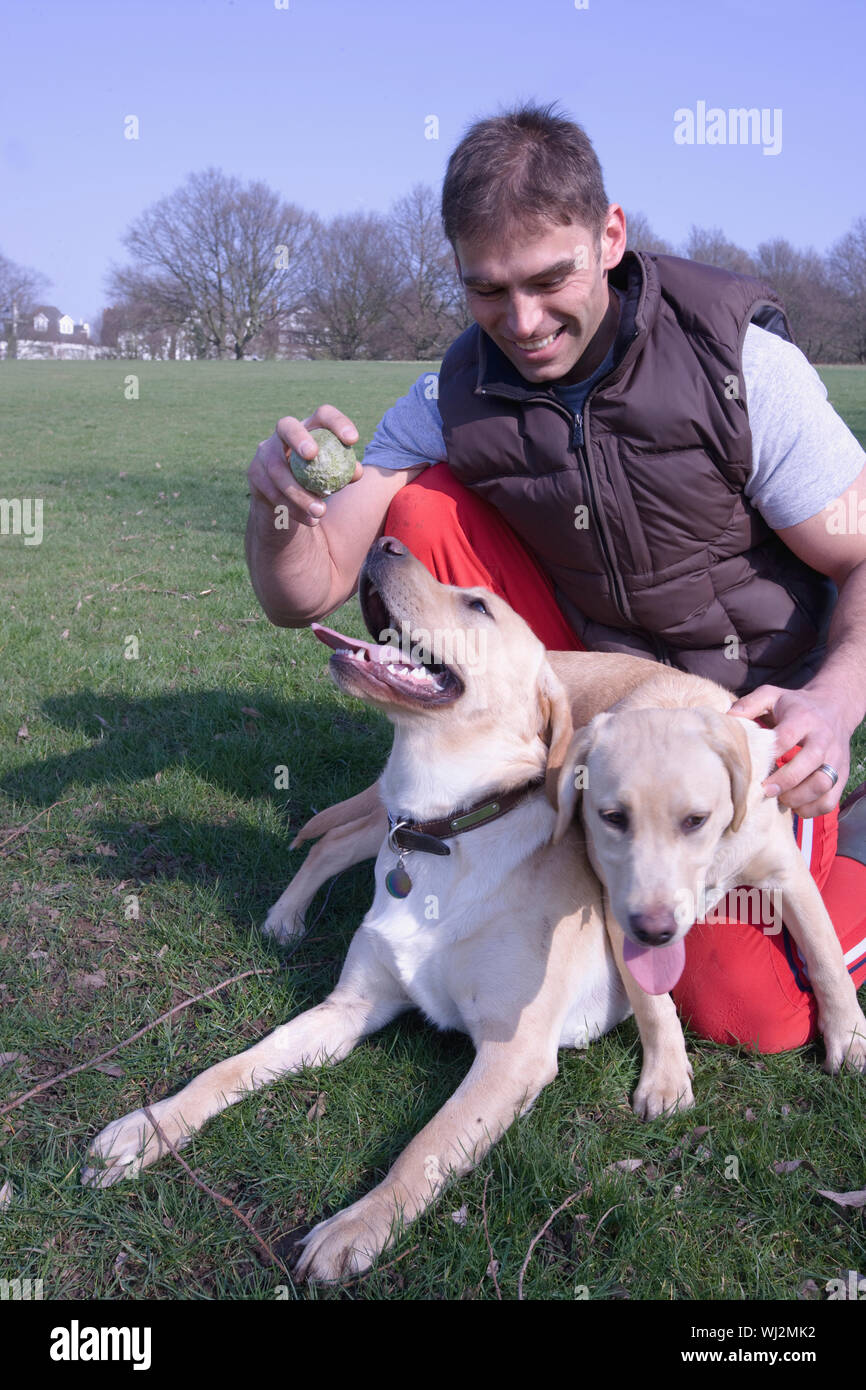 Happy middle aged man playing with his pet dogs in the park Stock Photo ...